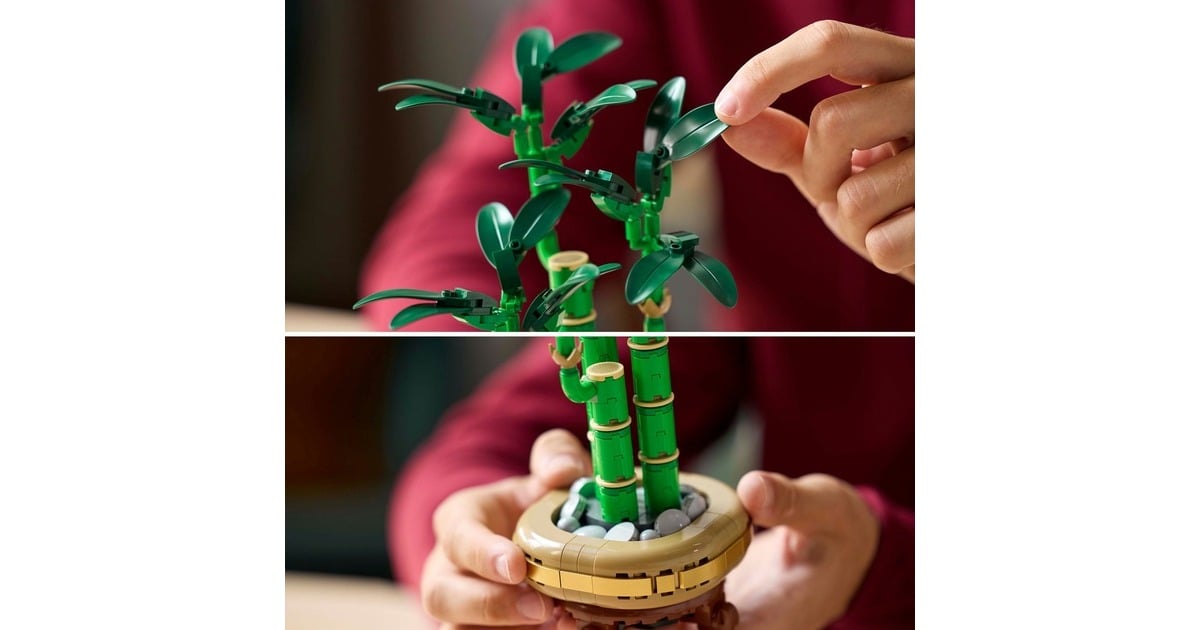 LEGO 10344 Botanicals Glücks-Bambus, Konstruktionsspielzeug