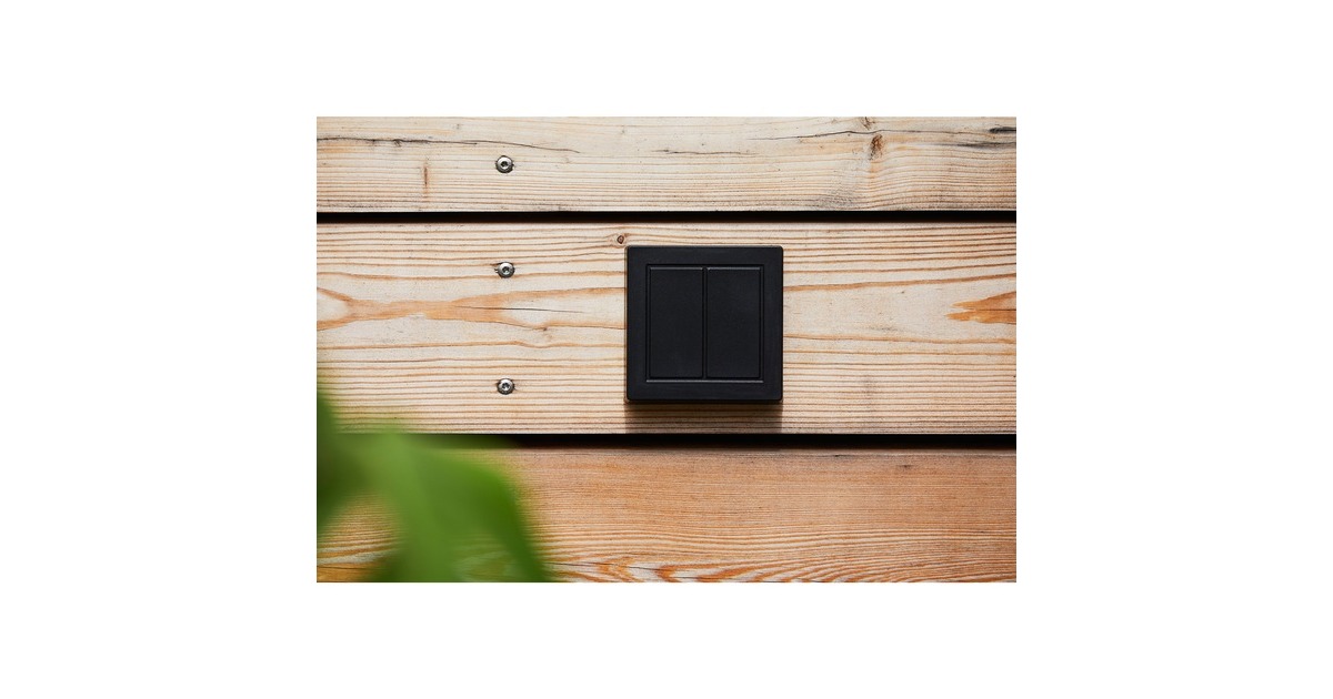 Senic Friends of Hue Outdoor Switch, Taster schwarz
