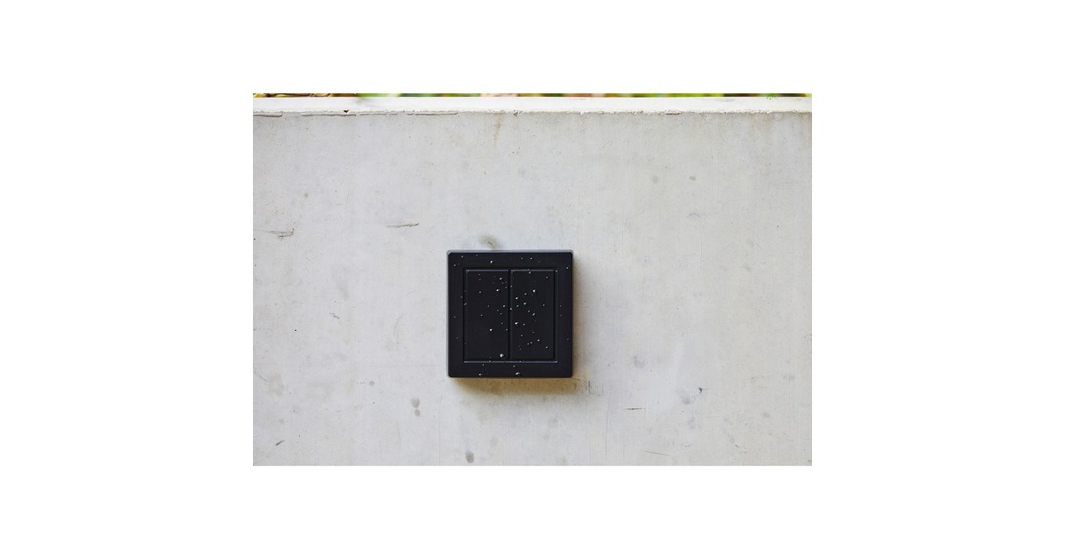 Senic Friends of Hue Outdoor Switch, Taster schwarz