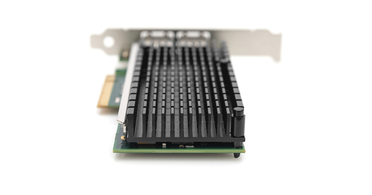 Digitus 2-Port 10 Gigabit Ethernet, LAN-Adapter