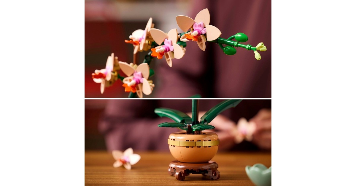 LEGO 10343 Botanicals Mini-Orchidee, Konstruktionsspielzeug
