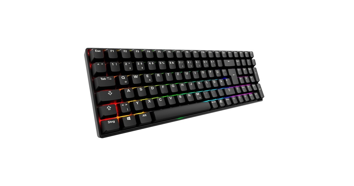 Sharkoon SKILLER SGK50 S2 PBT, Gaming-Tastatur schwarz, DE-Layout ...