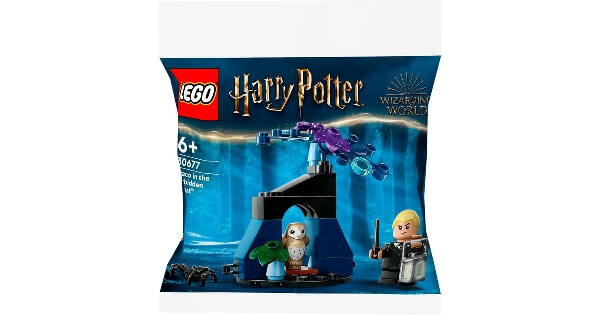 LEGO 30677 Harry Potter Draco im Verbotenen Wald ...