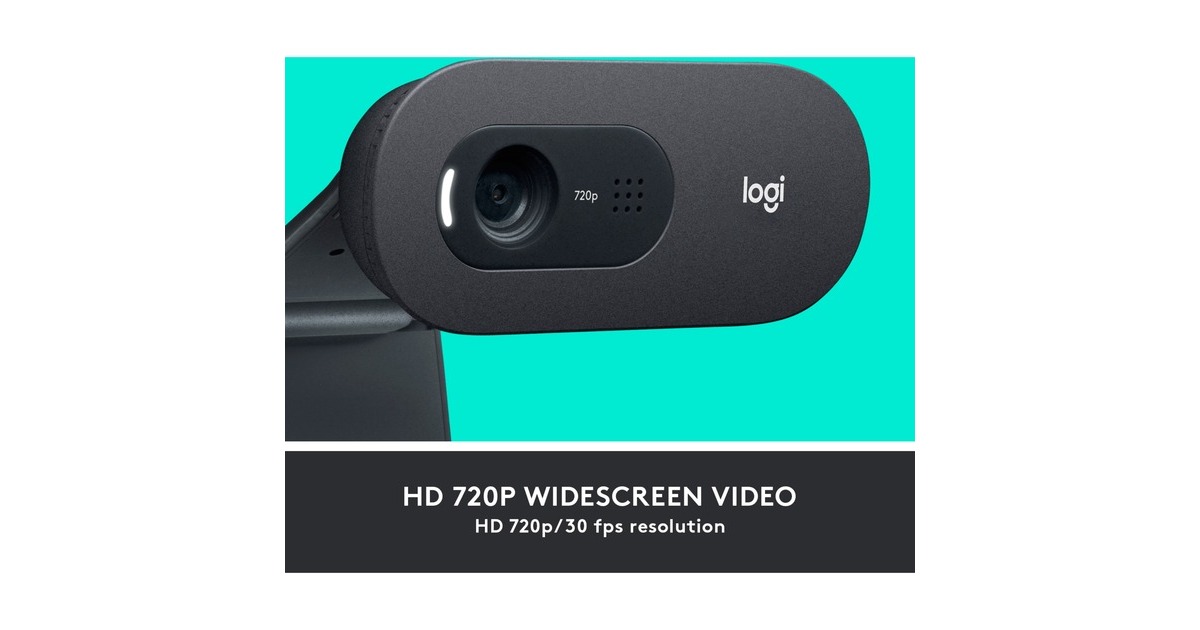 Logitech C505e, Webcam schwarz, Bulk