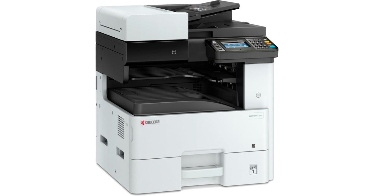 Kyocera ECOSYS M4125idn, Multifunktionsdrucker grau/schwarz, USB, LAN ...