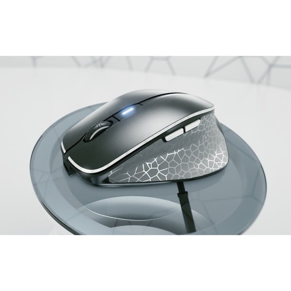 CHERRY MW 8C ERGO, Maus schwarz