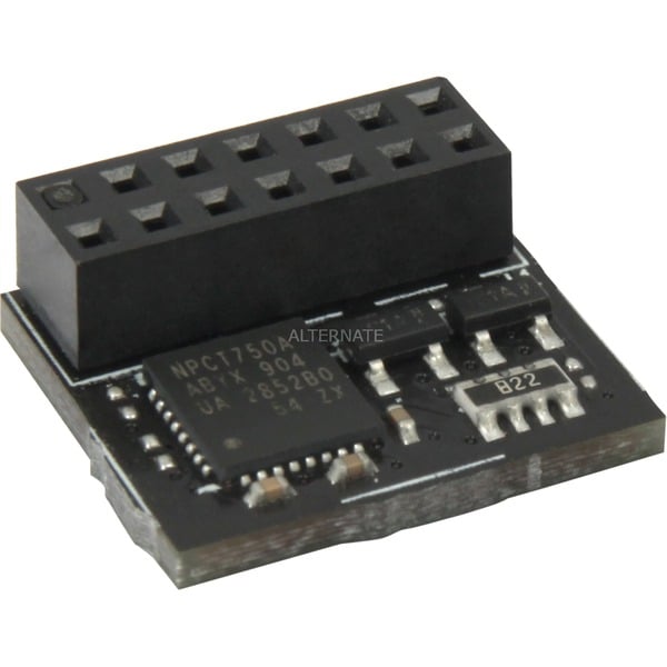ASUS TPM-SPI