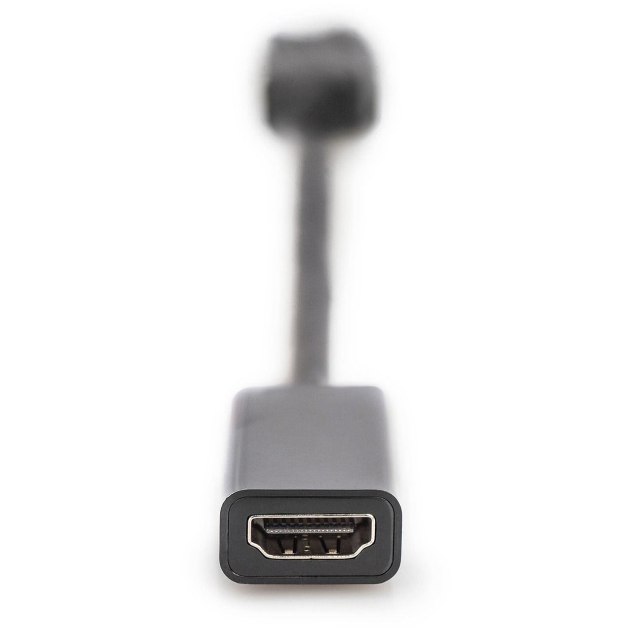 Digitus Adapter / Konverter DisplayPort > HDMI schwarz, 15cm