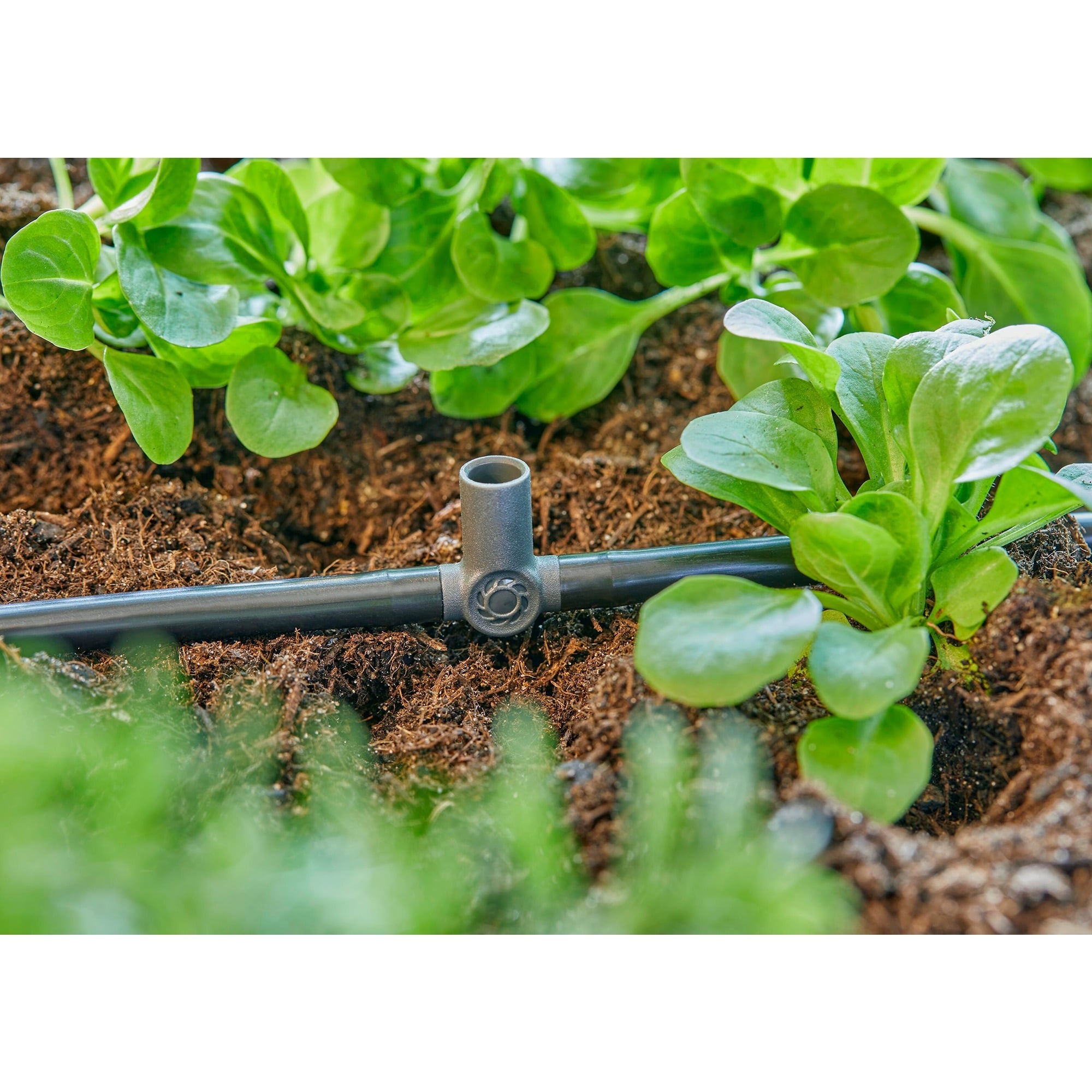 GARDENA Micro-Drip-System T-Stück für Sprühdüsen/Endtropfer, 4,6mm (3/ ...